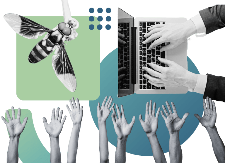 Hoverfly open source API simulation from Hoverfly Cloud