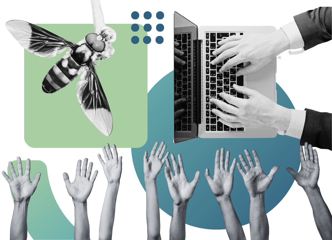 Hoverfly Open Source Api Simulation From Hoverfly Cloud