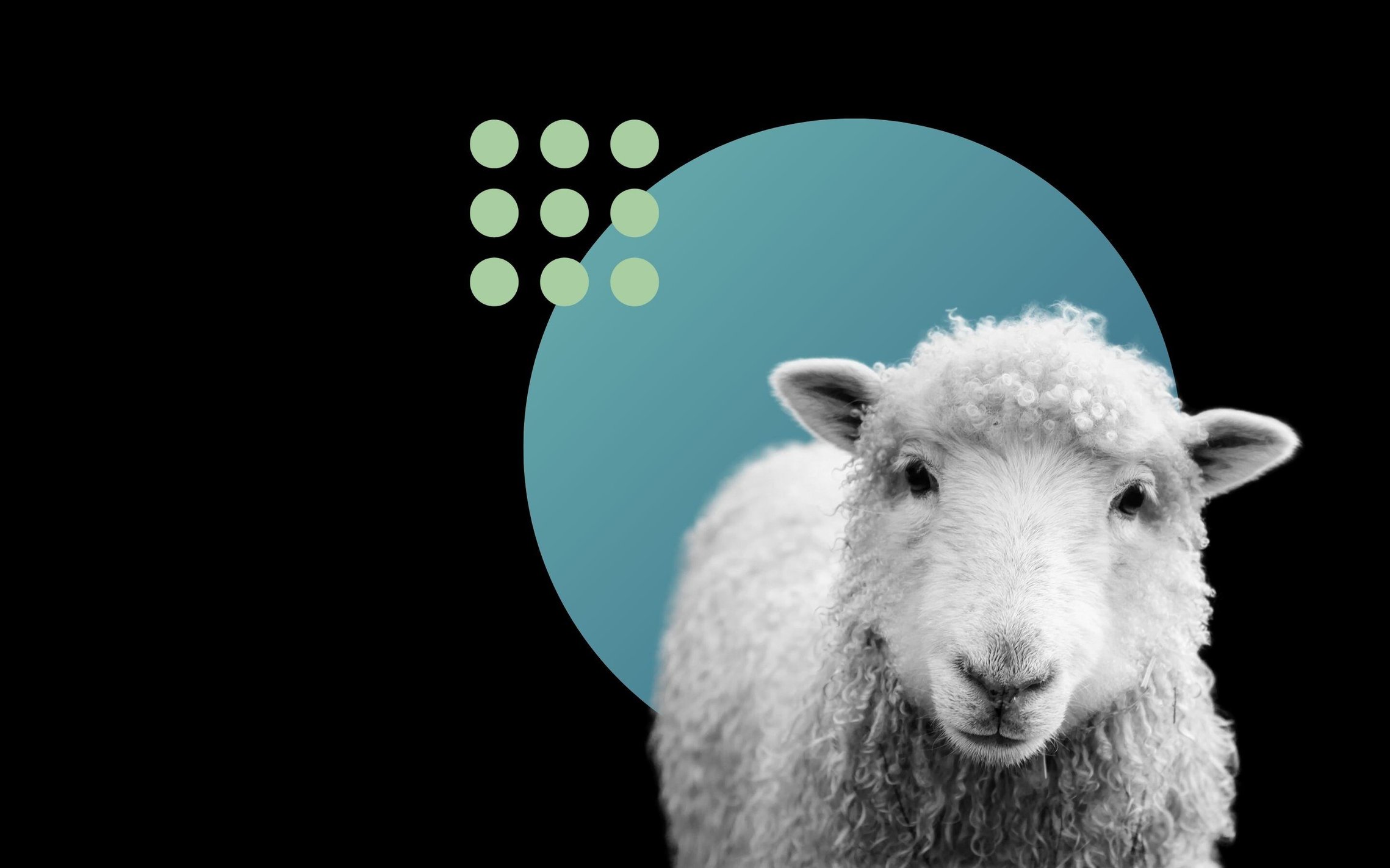 Hoverfly Cloud: API simulation & service virtualisation redefined